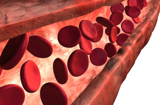 A la chasse aux gènes de l’anémie - Planete sante