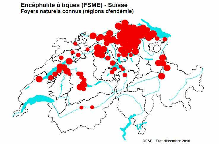 Encéphalite à tiques - Planete sante