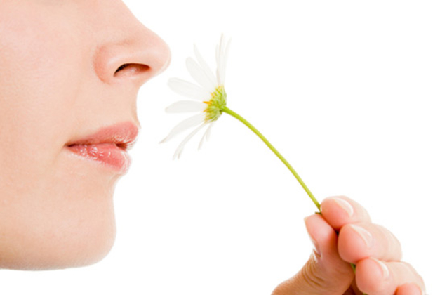 L’olfaction, un sens très performant - Planete sante