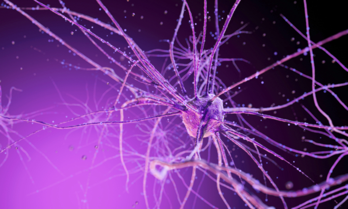 De l’électricité pour stimuler les neurones - Planete sante