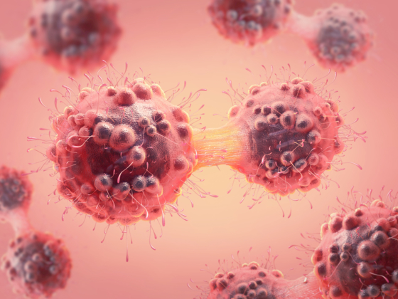 Pourquoi une division cellulaire précoce favorise les cancers - Planete ...