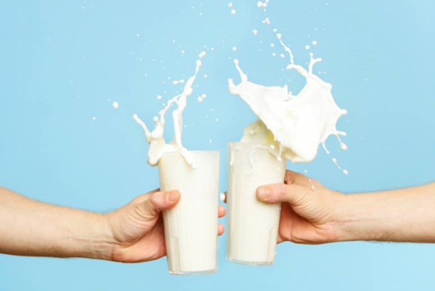 Le lait sous la loupe - Planete sante