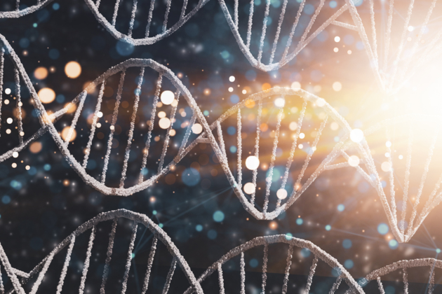 Rencontre avec Raphaëlle Luisier, grande spécialiste du génome humain ...