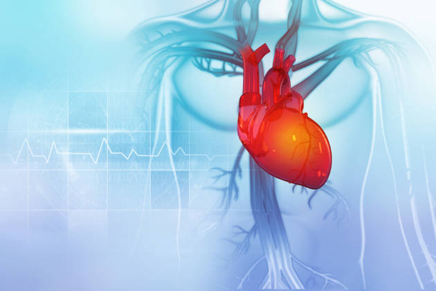 Maladies Des Valves Cardiaques – Maladie Des Valves Cardiaques ...
